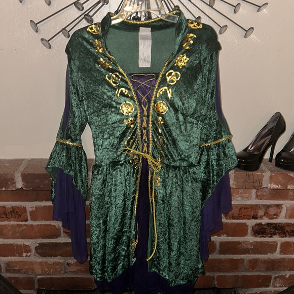 Dresses | Hocus Pocus Disney Costume Dress Adultlarge | Poshmark